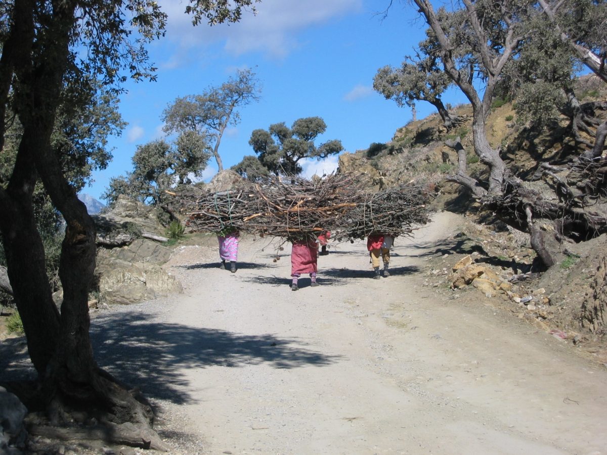 Tanger, Asilah, Chefchaouen et Akchour - Le Maroc authentique